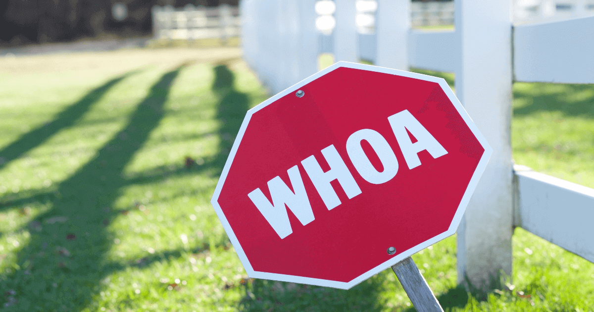 Whoa Or Woah Dictionary Makes major Announcement On Correct Whoa Or Woah Dictionary Makes major Announcement On Correct